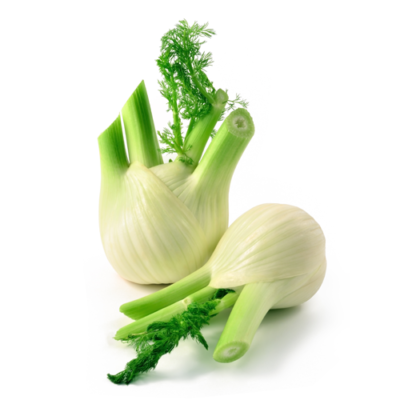 Fenouil - Maison Laury